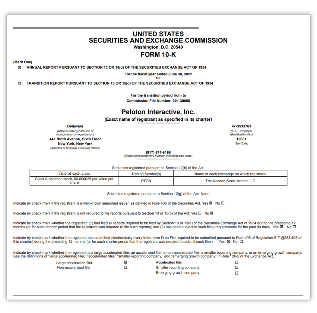 Step-by-Step Guide to 10-K Report Analysis | Seer Interactive